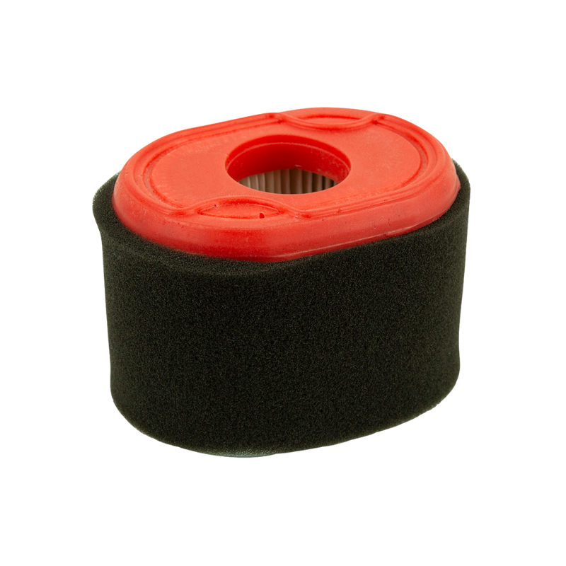 Briggs & Stratton Cartridge Air Filter and Foam Wrap Pre-Filter 550 Se