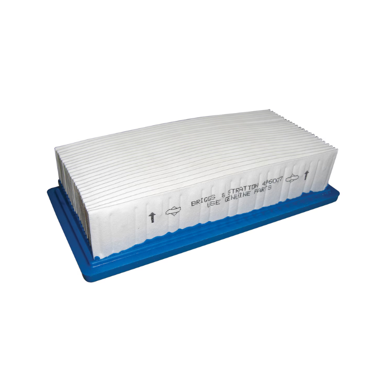 Genuine Air Filter (691643 X 5) - suits Briggs & Stratton