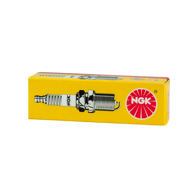 NGK DCPR8E Spark Plug #4339 Pack of 3 SPKDCPR8E
